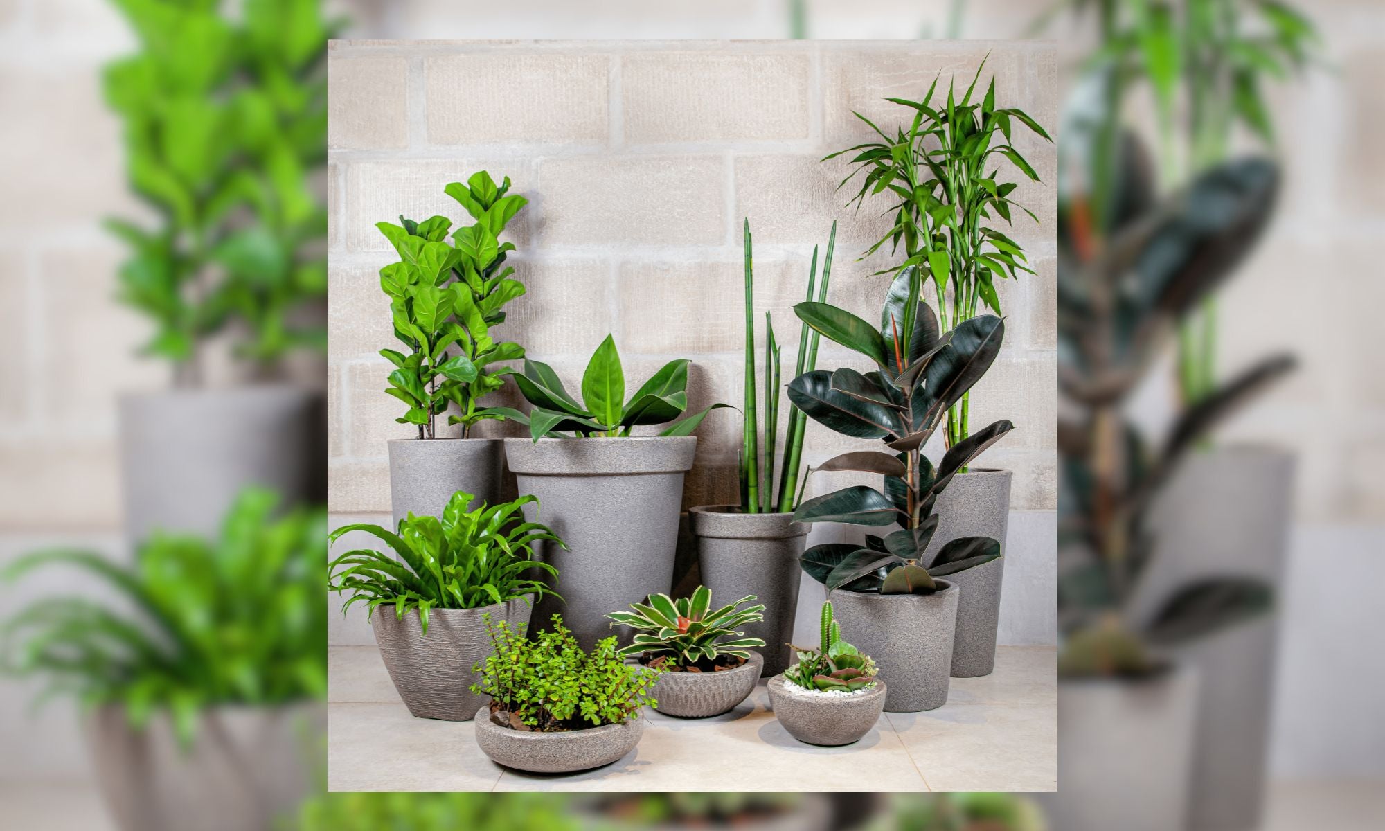 Hoops - Garden Pots & Permanent Flower Arrangement Suppliers